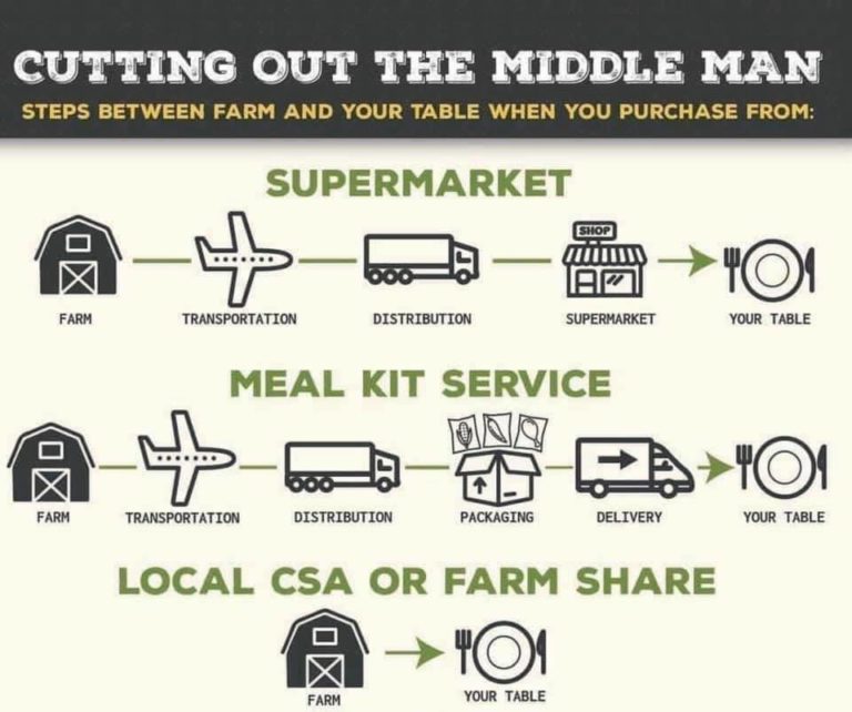 What is a CSA & How to Find One? - elanaloo.com